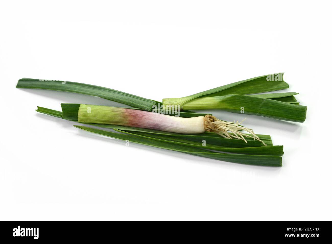 Fresh green garlic isolated on white background Stock Photo - Alamy