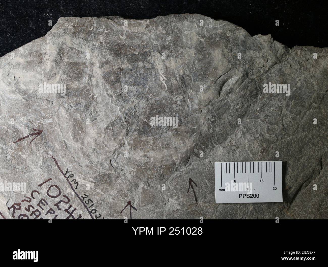 Salt hoppers hi-res stock photography and images - Alamy