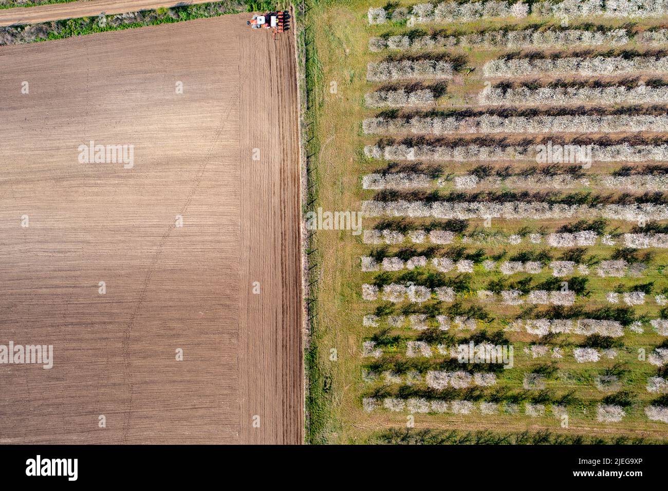 aerial landscape view of fruit trees Stock Photo - Alamy
