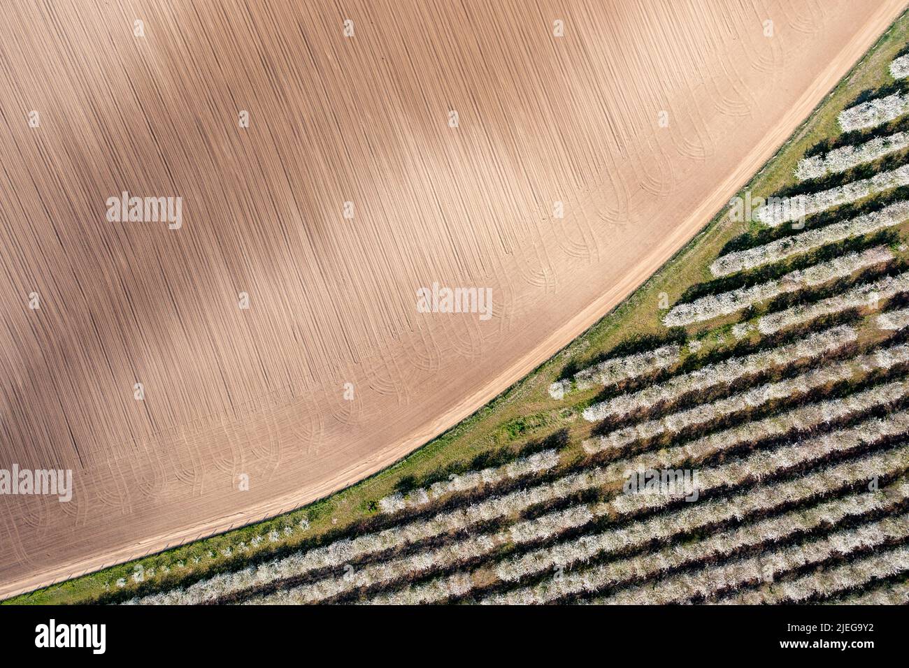 aerial landscape view of fruit trees Stock Photo - Alamy