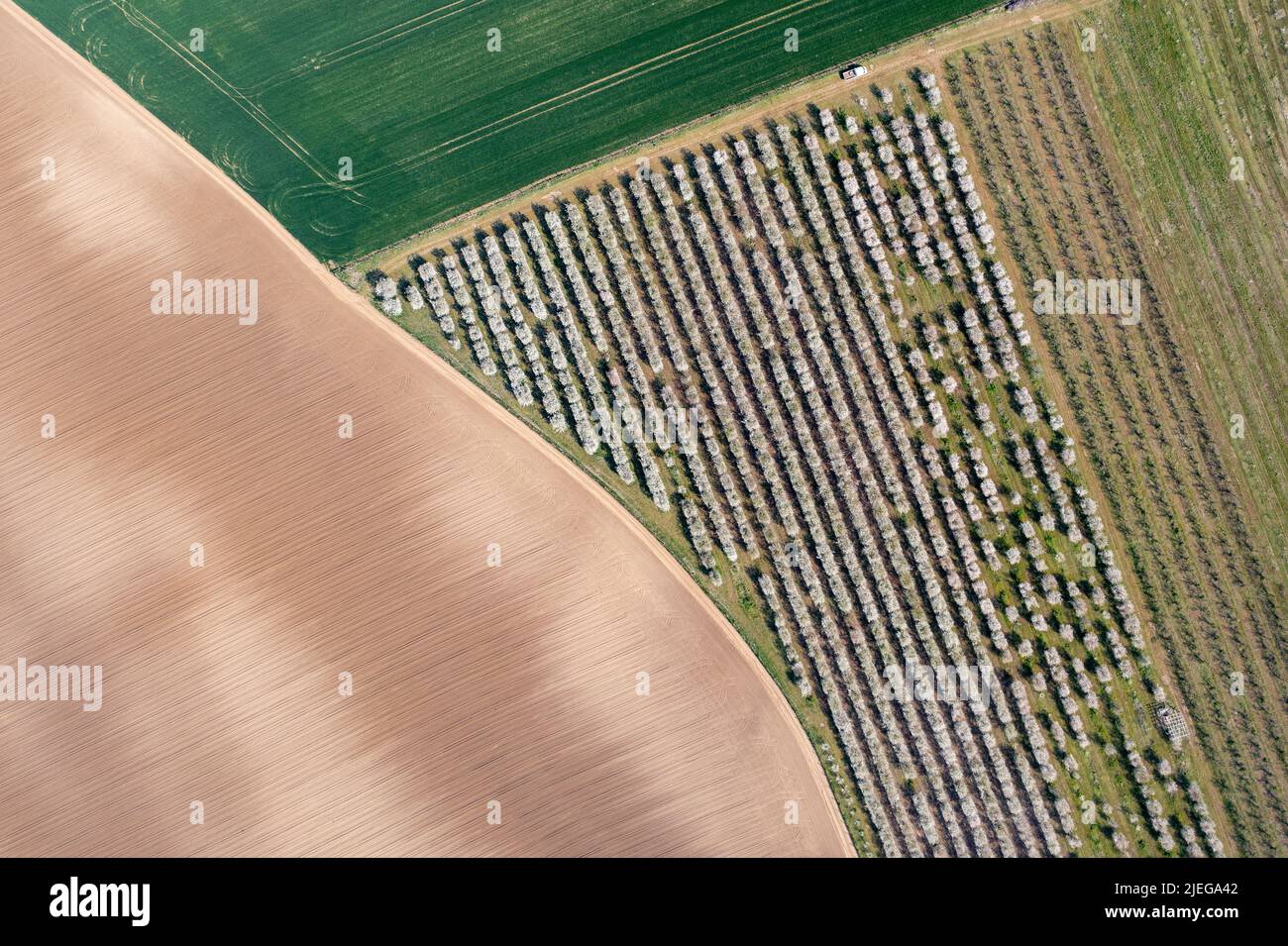 aerial landscape view of fruit trees Stock Photo - Alamy