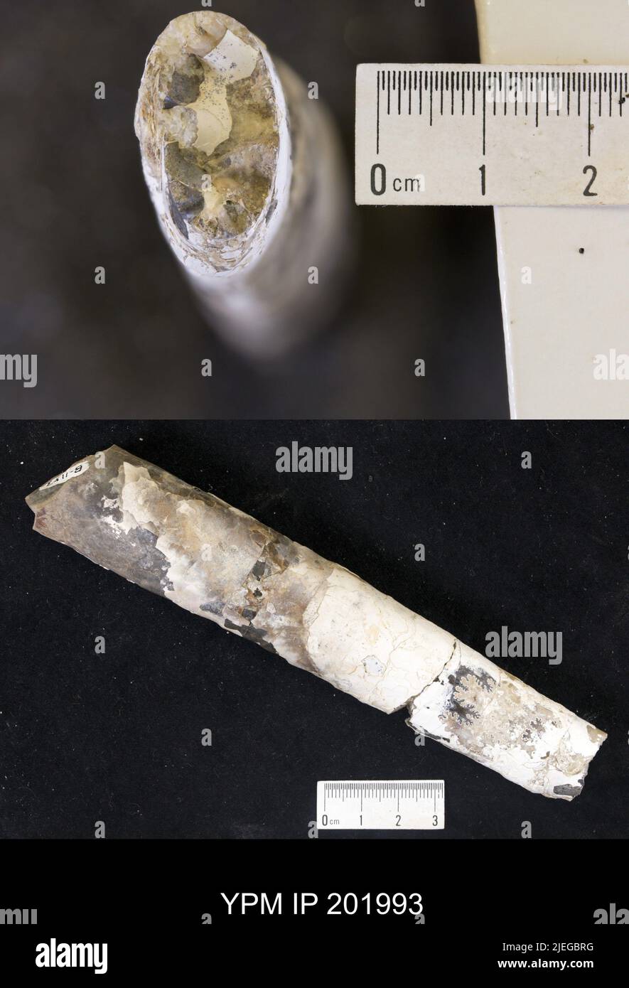 Perplexus hi-res stock photography and images - Alamy