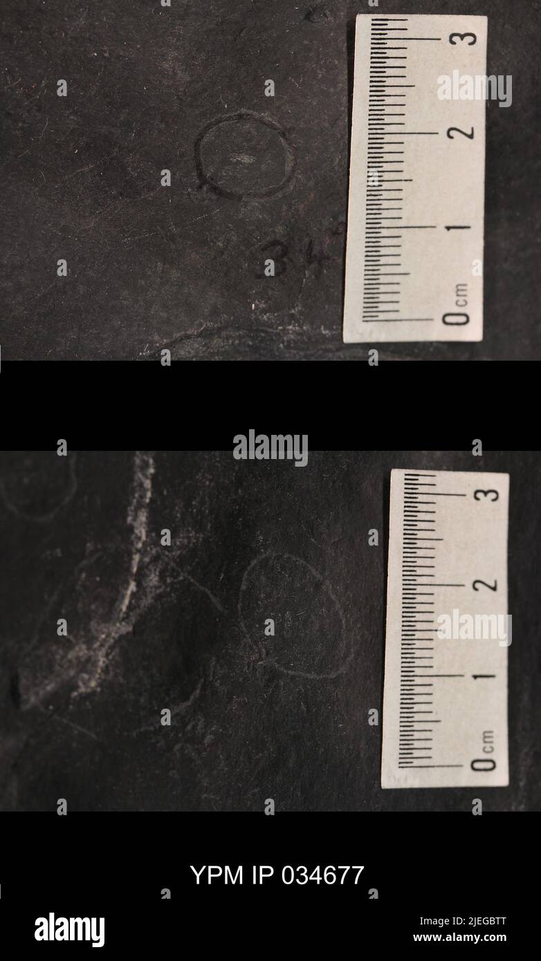 Dan river nc hi-res stock photography and images - Alamy