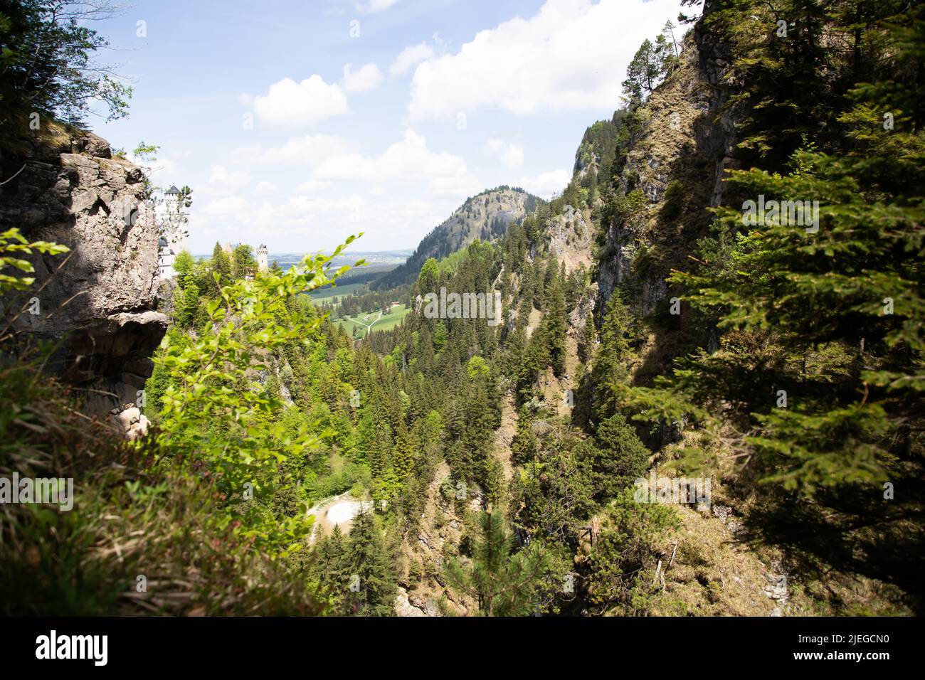 Picturesque spring landscape with the Neuschwanstein Castle, Germany ...