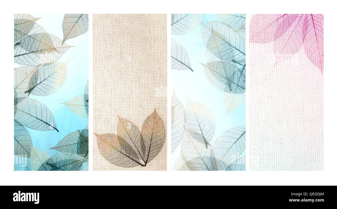 Set of vertical or horizontal vintage nature banners with autumn leaves ...