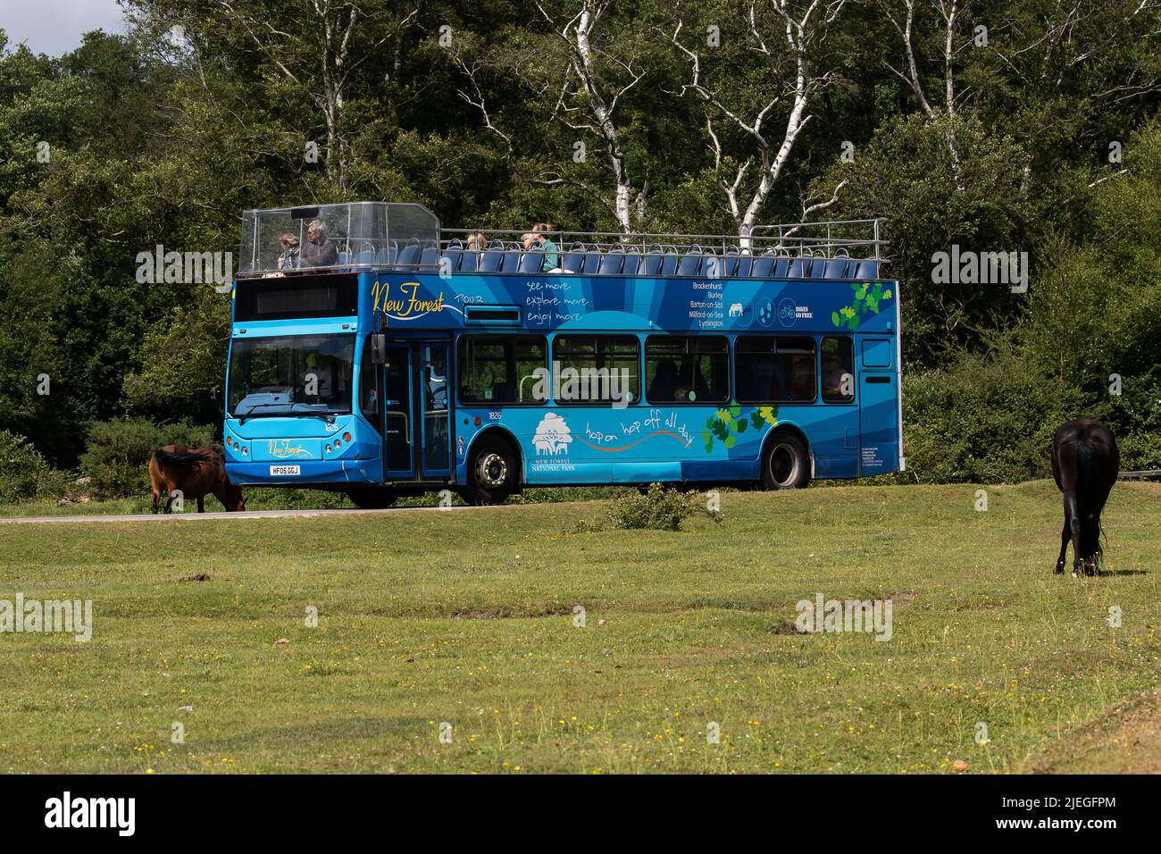 Horse open top bus hi-res stock photography and images - Alamy