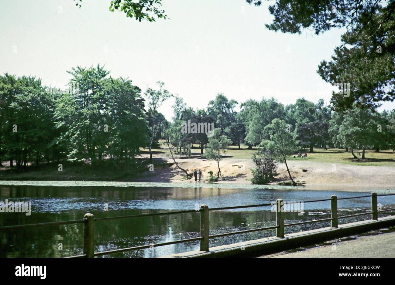 Keston ponds bromley hi-res stock photography and images - Alamy