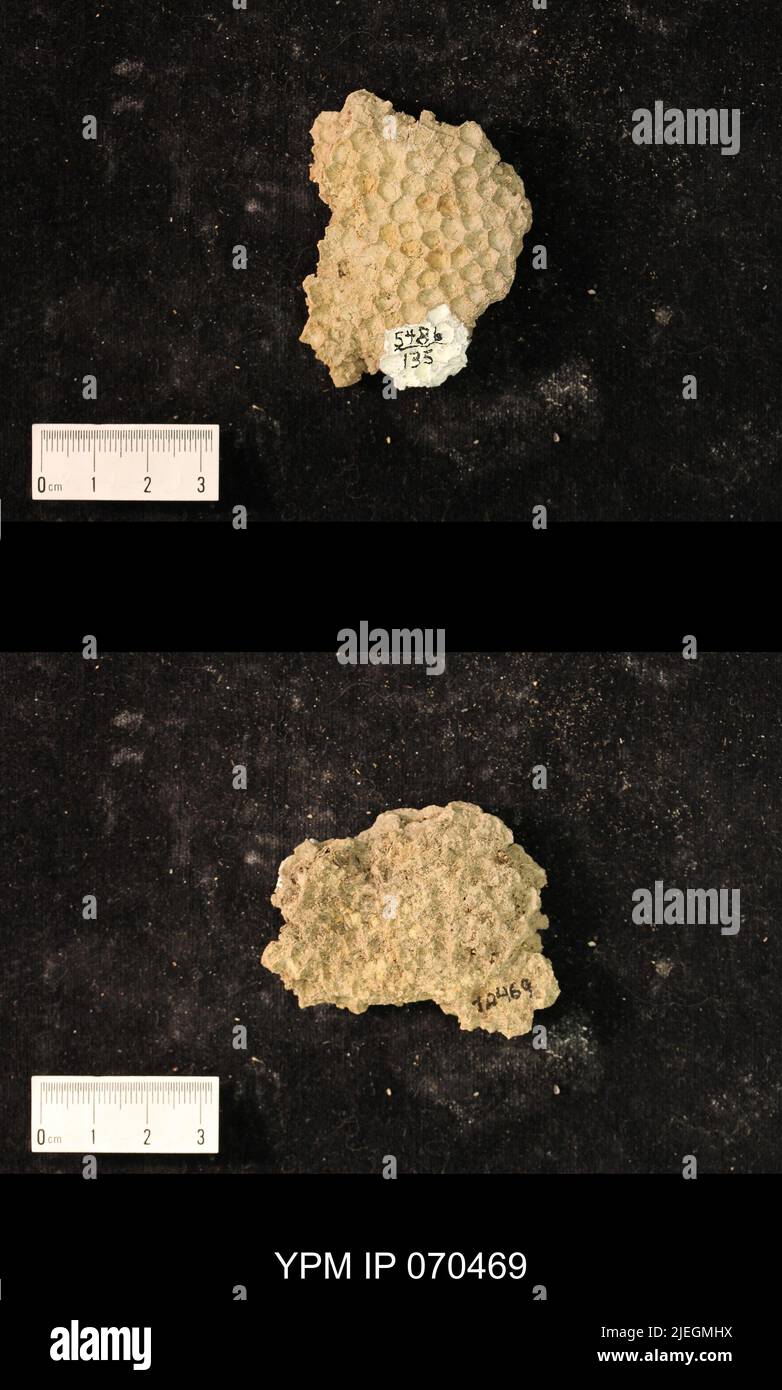 The amsden hi-res stock photography and images - Alamy