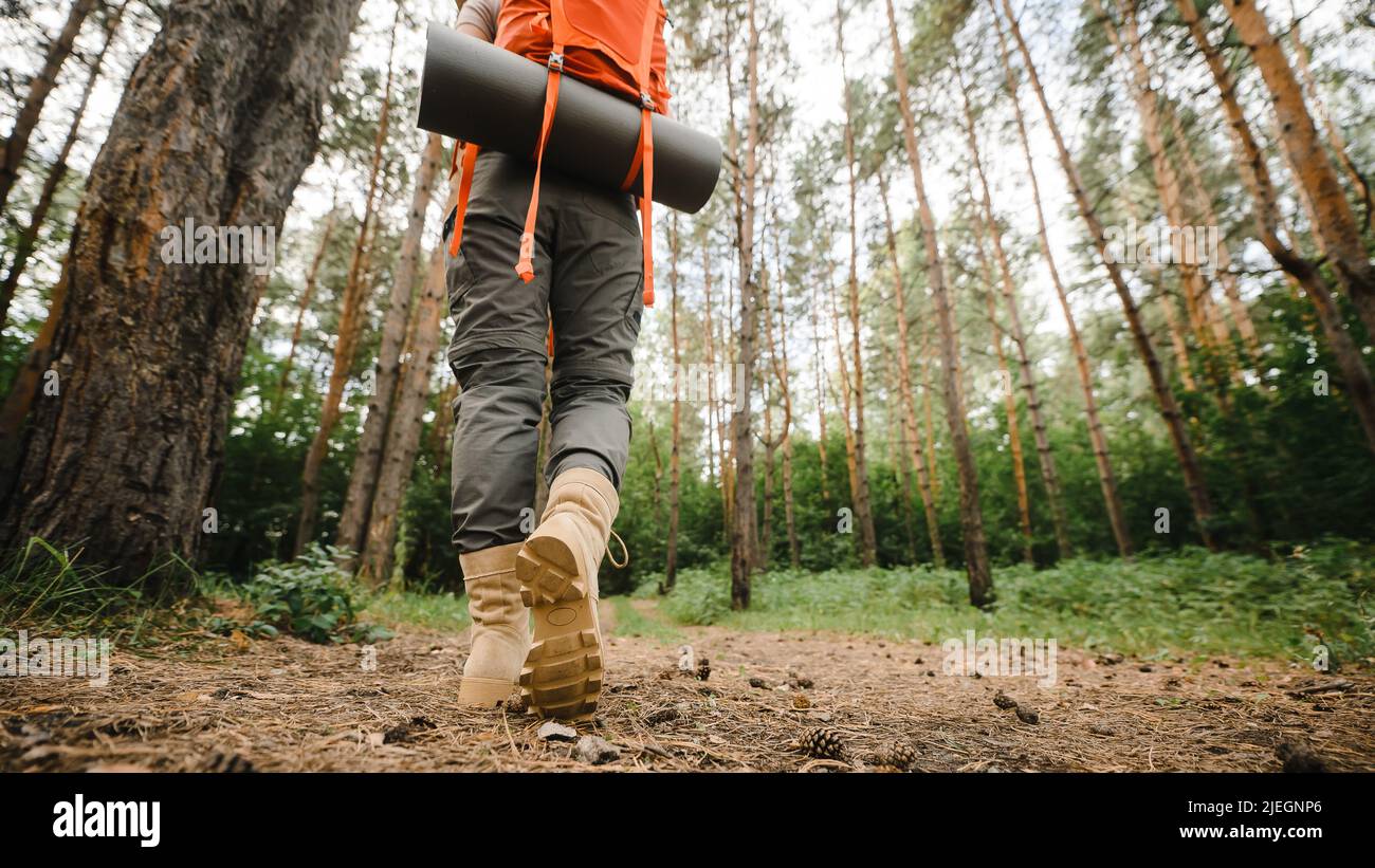 The woman is engaged in hiking in a pine forest. close-up of legs Stock ...