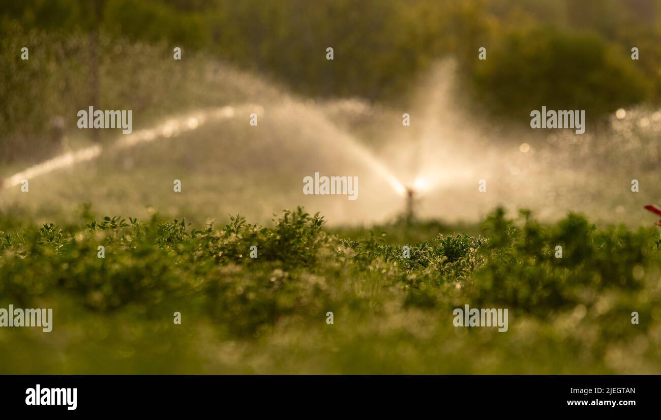 Front view crop irrigation hi-res stock photography and images - Alamy