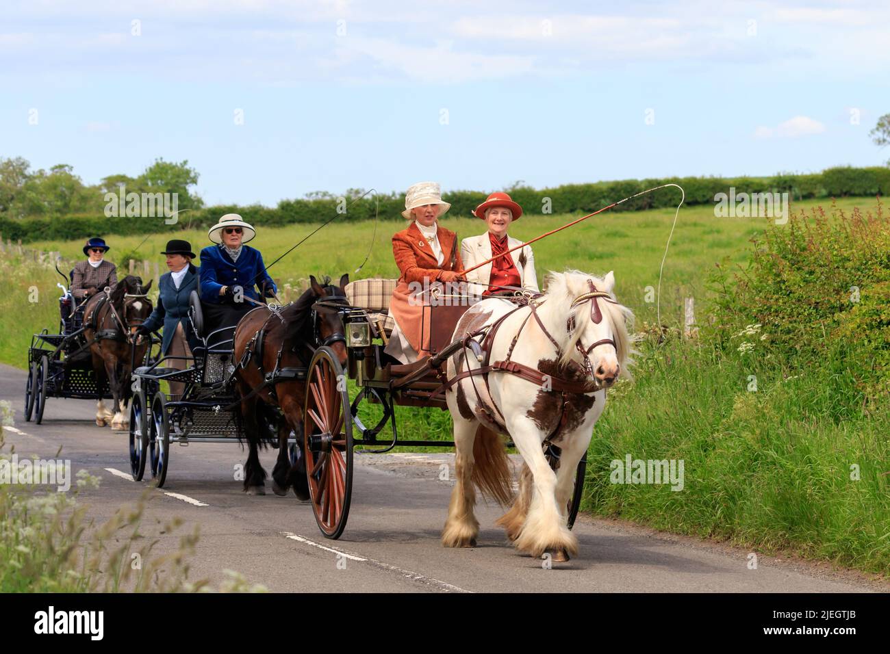 Glencaple, Scotland - June 5, 2022 : Skewbald gypsy cob pony pulling a ...