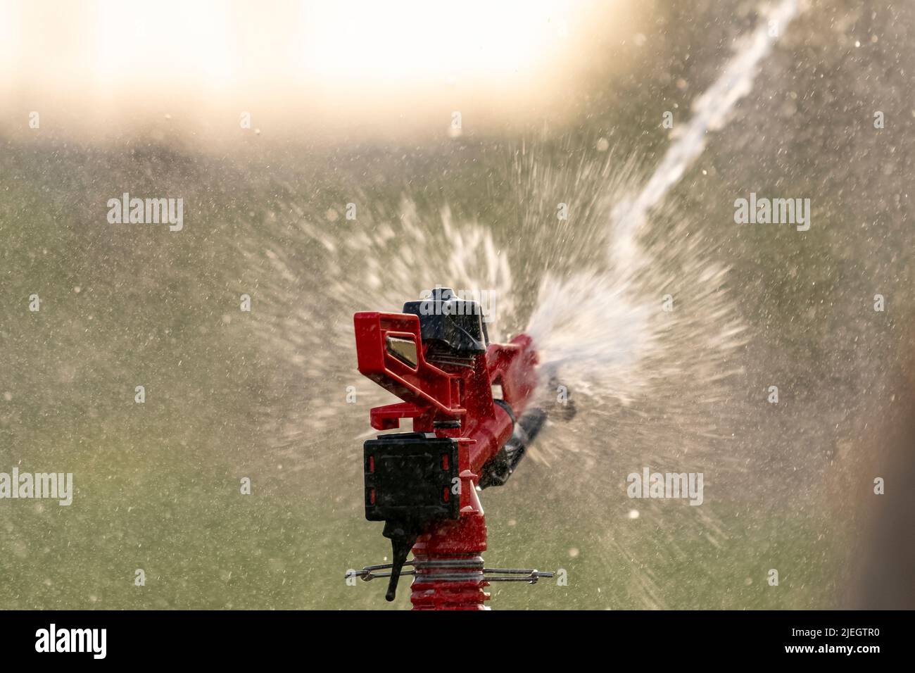 Garden gardening irrigation system hi-res stock photography and images ...