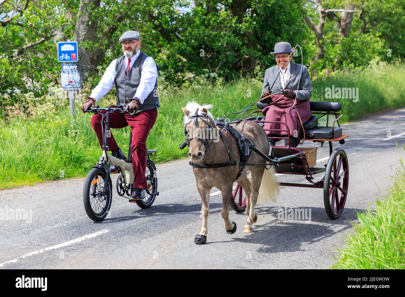 Glencaple, Scotland - June 5, 2022 : Palomino pony wearing hoof boots ...