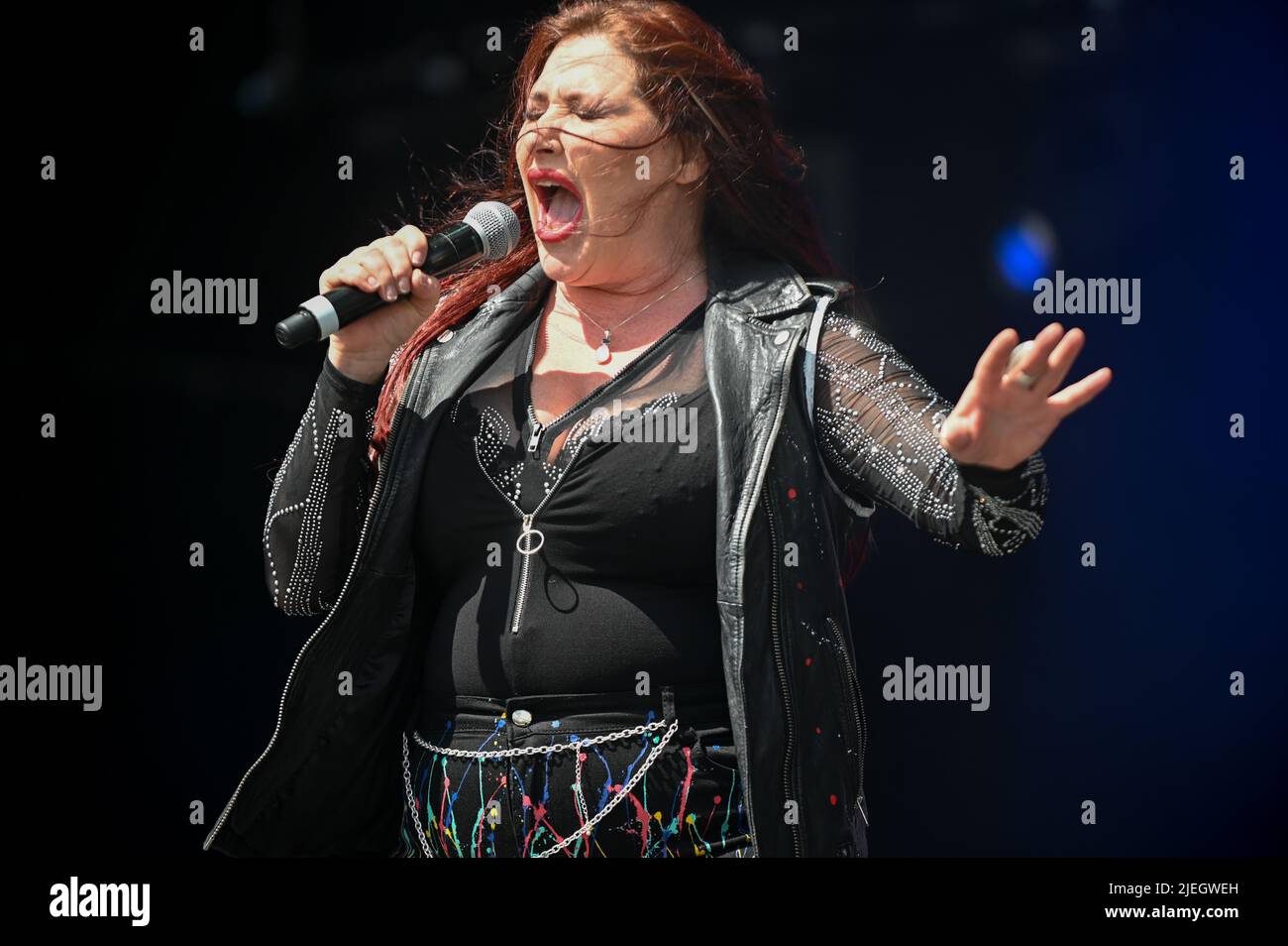 Tiffany singer hi-res stock photography and images - Alamy