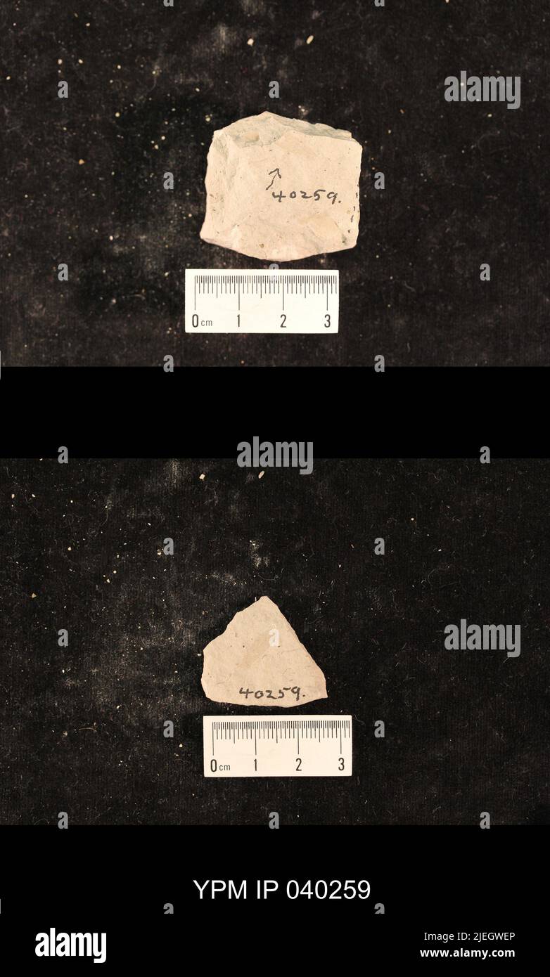 Megasecoptera. IPB.05168: Kansas. Dickinson County. Elmo. upper 2 ...