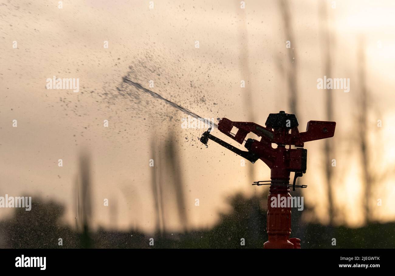 Sprinkler gun and sunset background shot with selective focus Stock ...