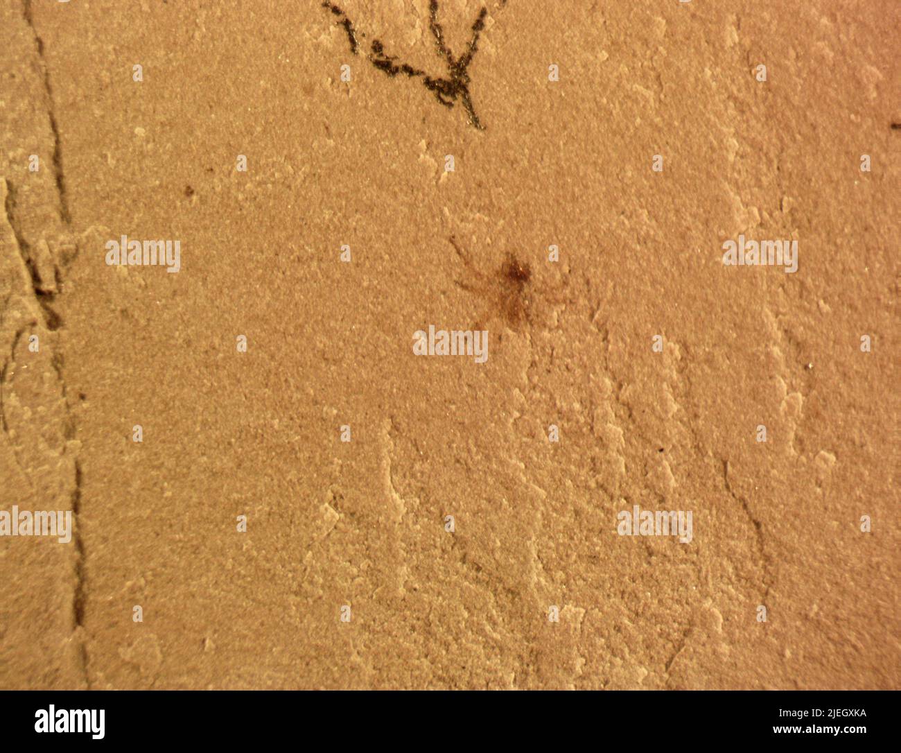 Behavioral architecture hi-res stock photography and images - Alamy