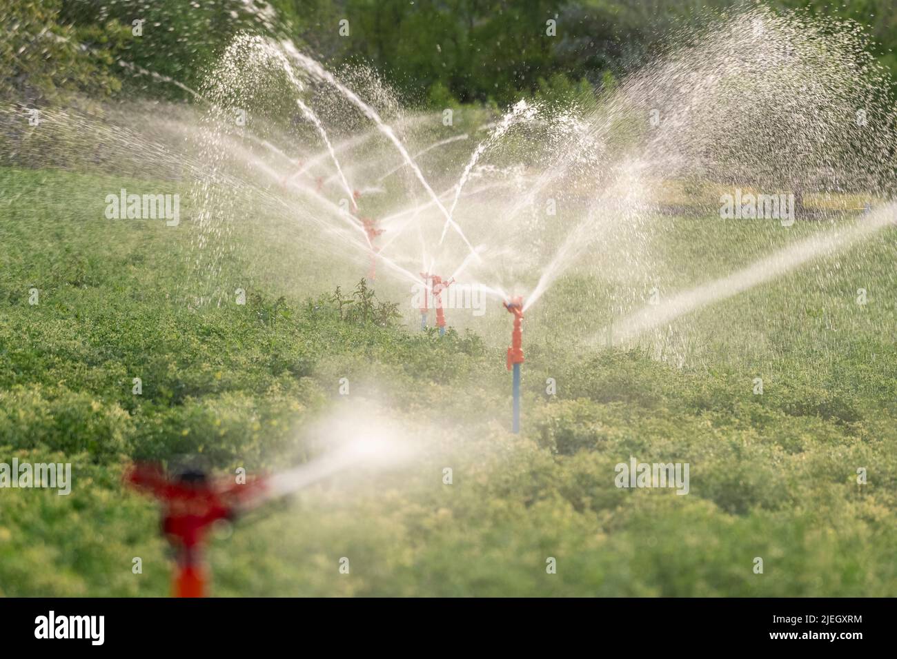 Irrigation systems hi-res stock photography and images - Alamy