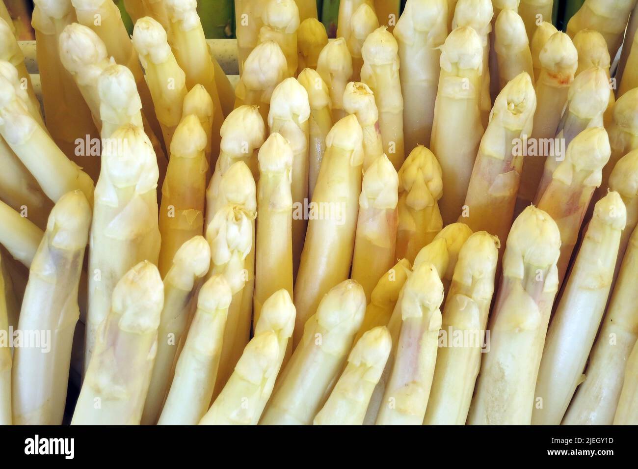 Frischer weisser Spargel, weißer Spargel, Spargelspitzen, Spargelköpfe ...