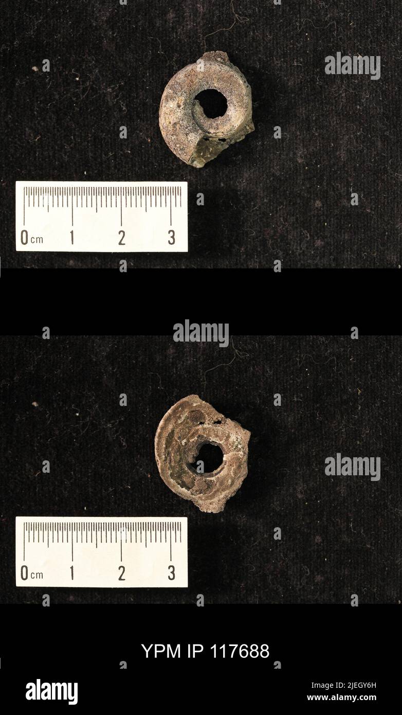 Taphonomy hi-res stock photography and images - Alamy