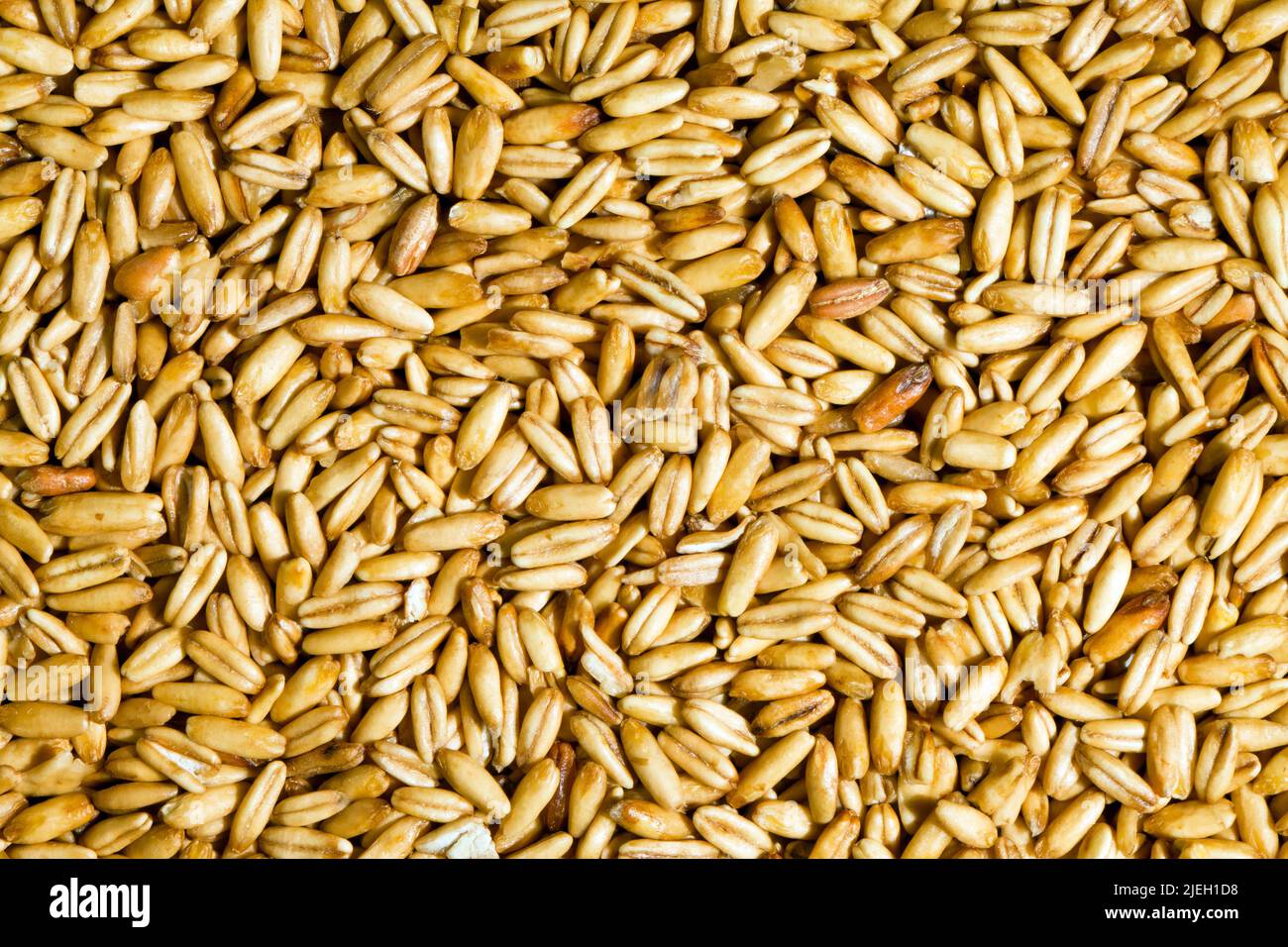 Hunger getreide hi-res stock photography and images - Alamy