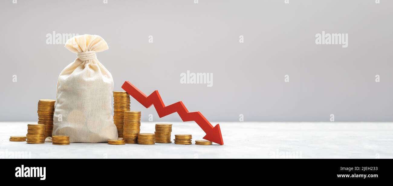 Money bag and red down arrow. Template Copy space for text. mock-up ...