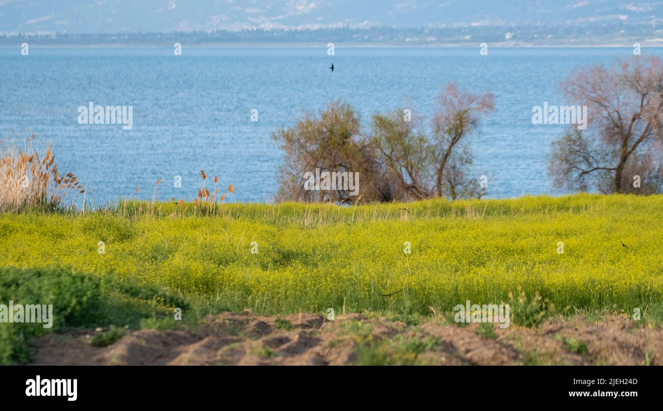 Selective focus landscape image hi-res stock photography and images - Alamy
