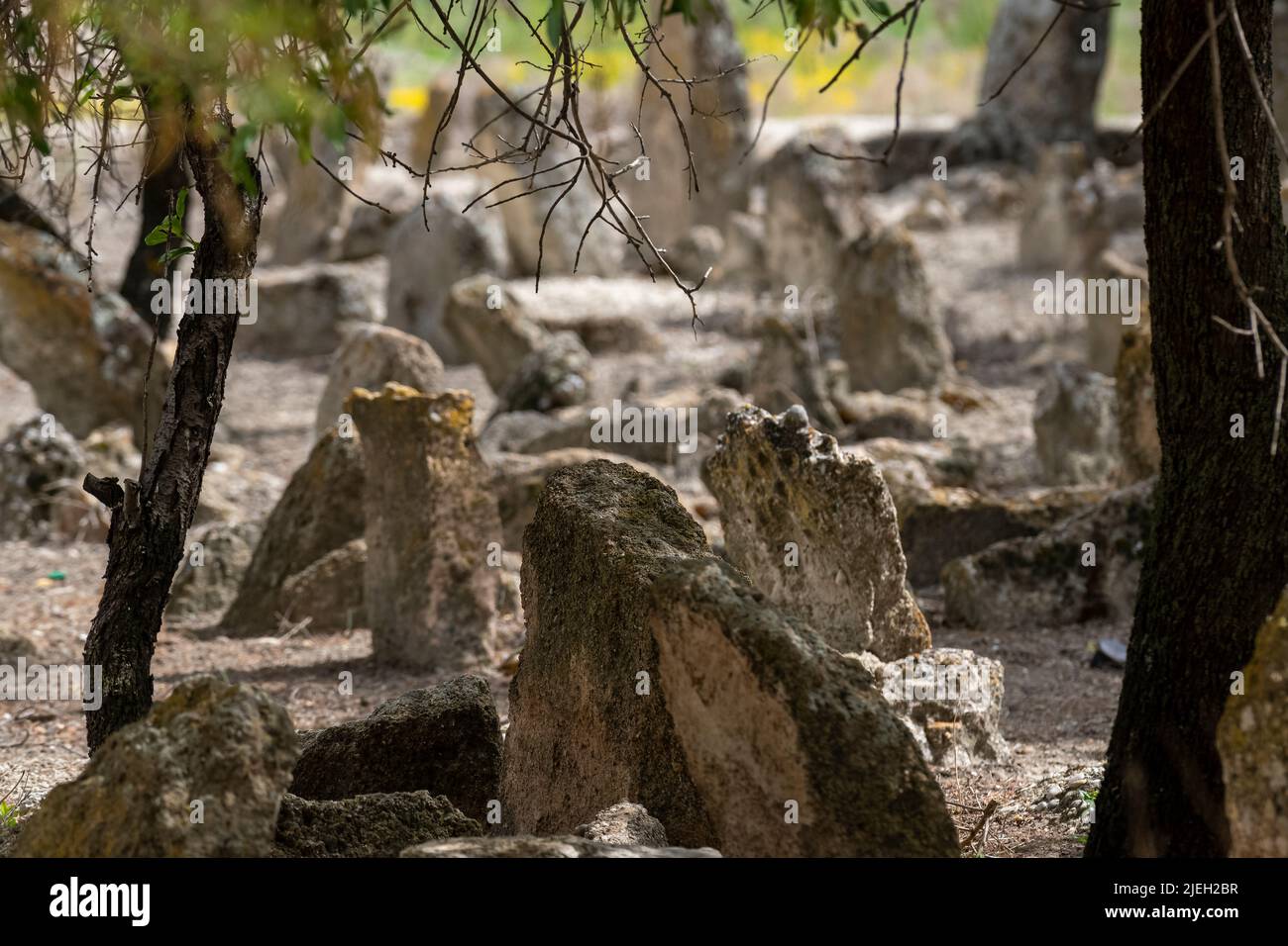 Charnel ground hi-res stock photography and images - Alamy