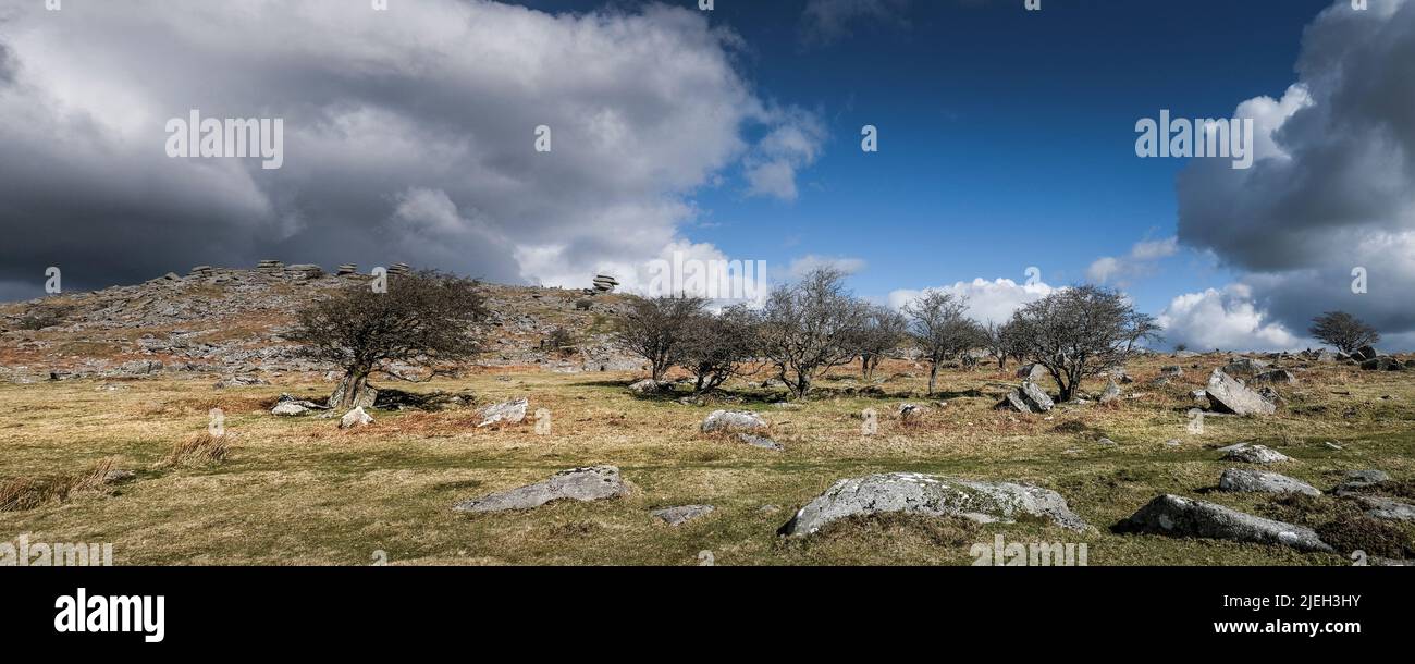 A panoramic image of the rugged windswept rocky landscape around Stowes ...
