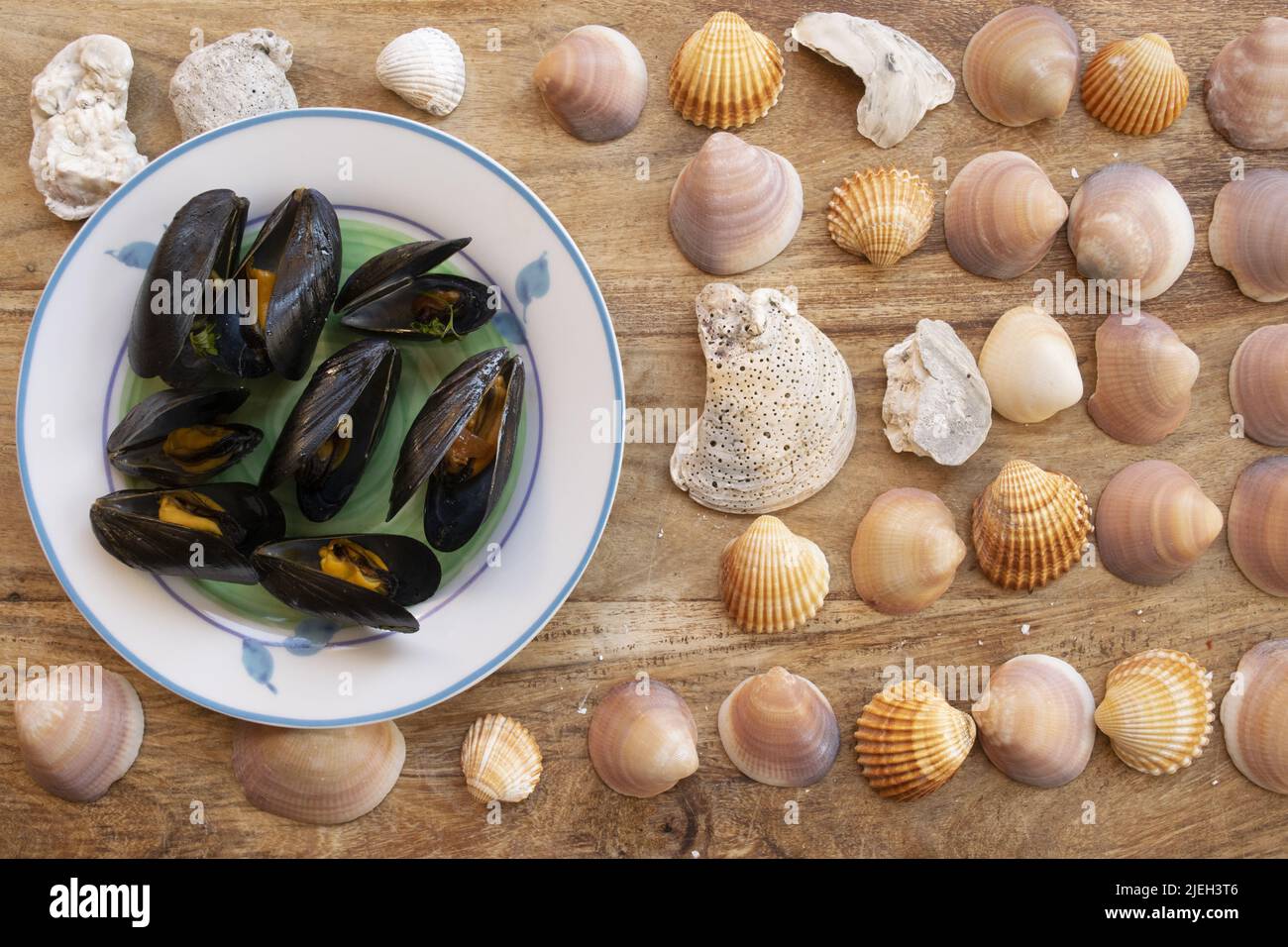drunken mussels with a shells background Stock Photo - Alamy