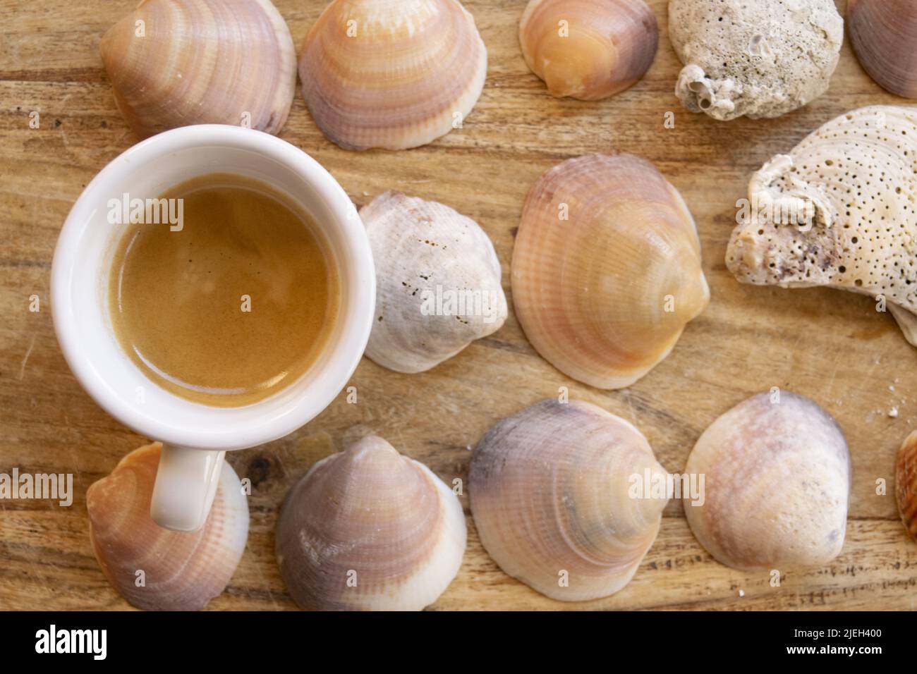 cup of an espresso in the midst of a variety of sea shells Stock Photo ...