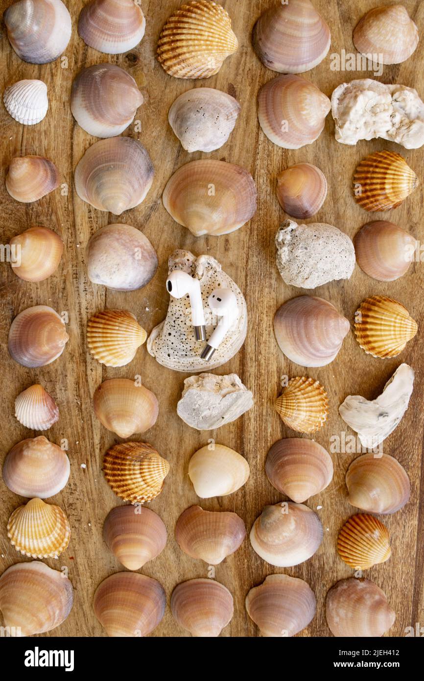 pair of bluetooth headphones on a shells background Stock Photo - Alamy