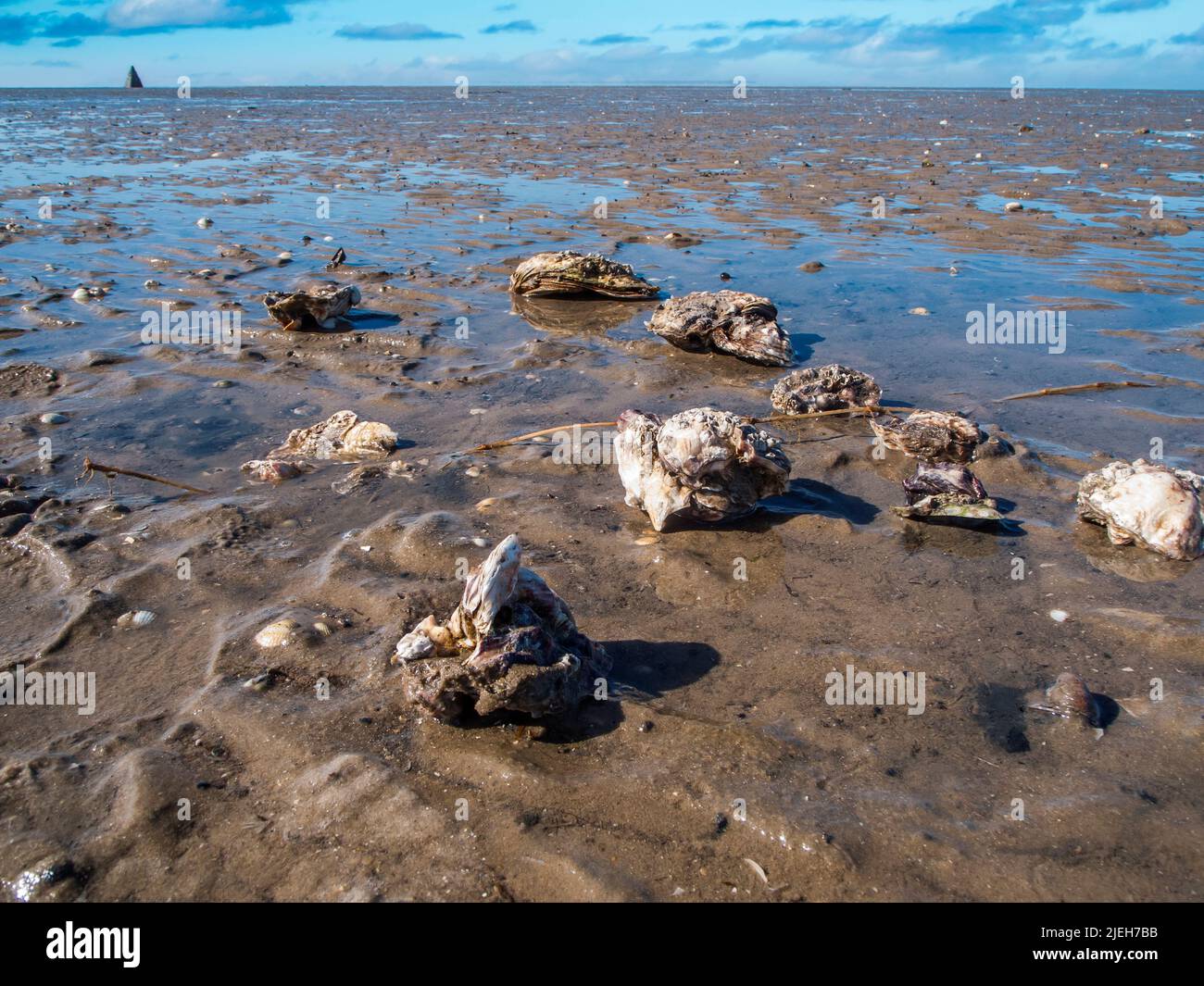 Low-angle landscape view of the German North Sea beach in Ostfriesland ...
