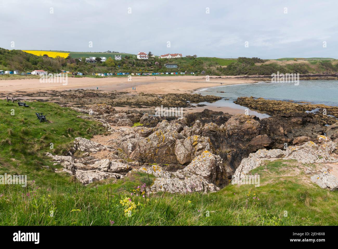 Coldingham hi-res stock photography and images - Alamy