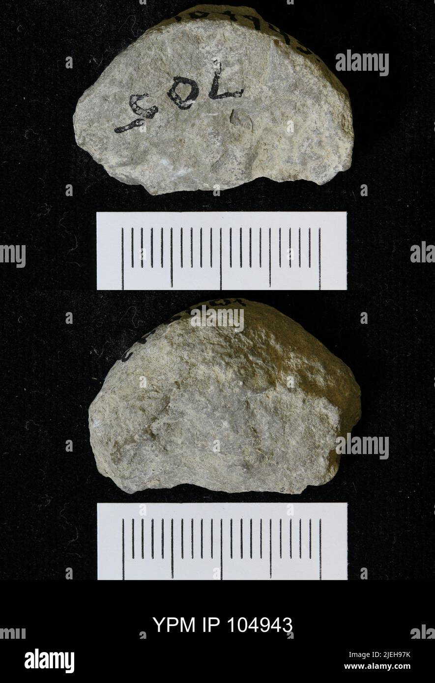 Algae production chain hi-res stock photography and images - Alamy