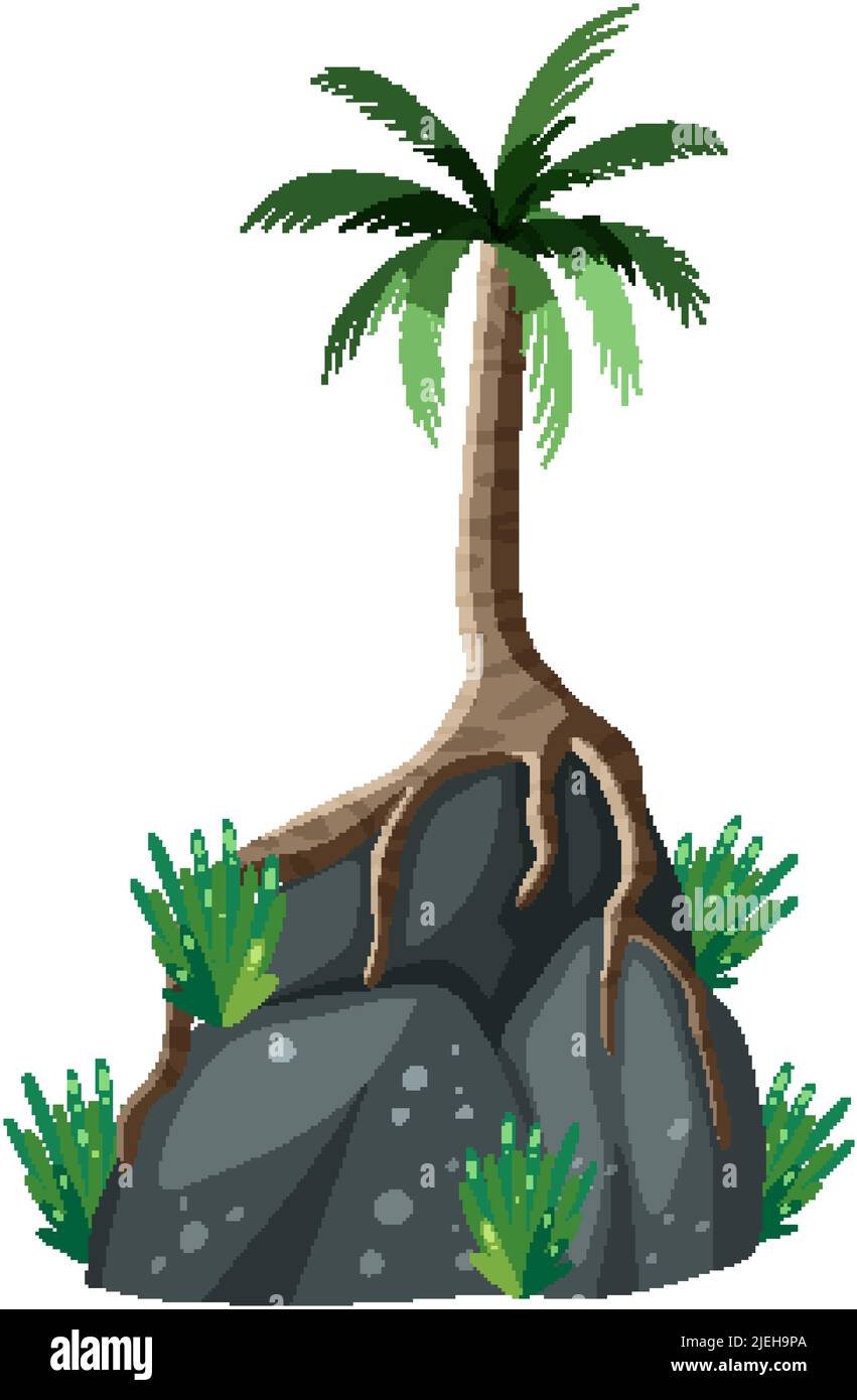 Palm tree on rock isolated illustration Stock Vector Image & Art - Alamy