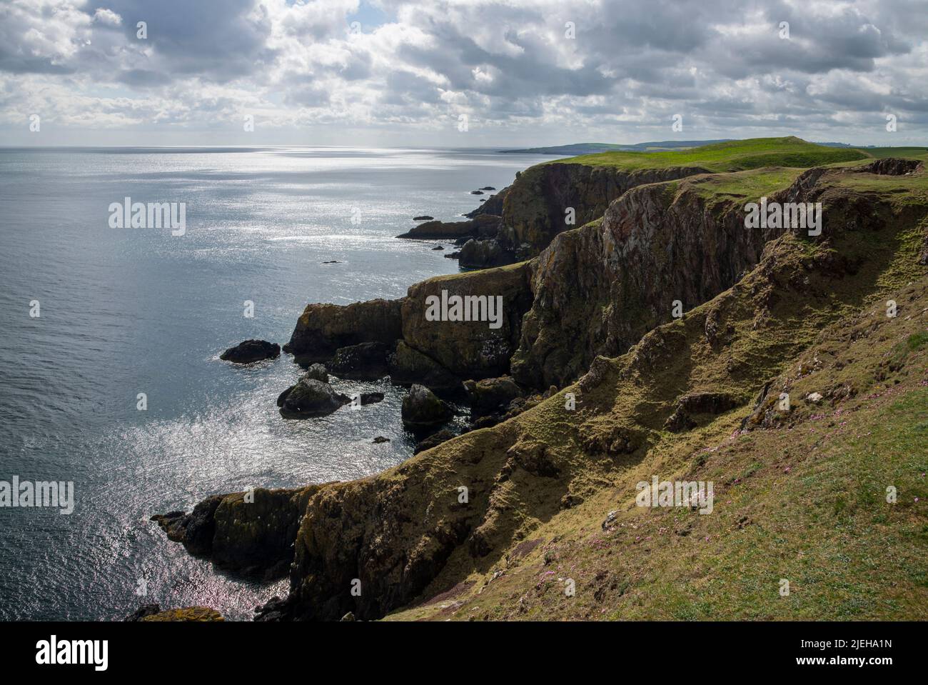 Cliffs along St Abbs Head, with sunlight glinting off the sea ...