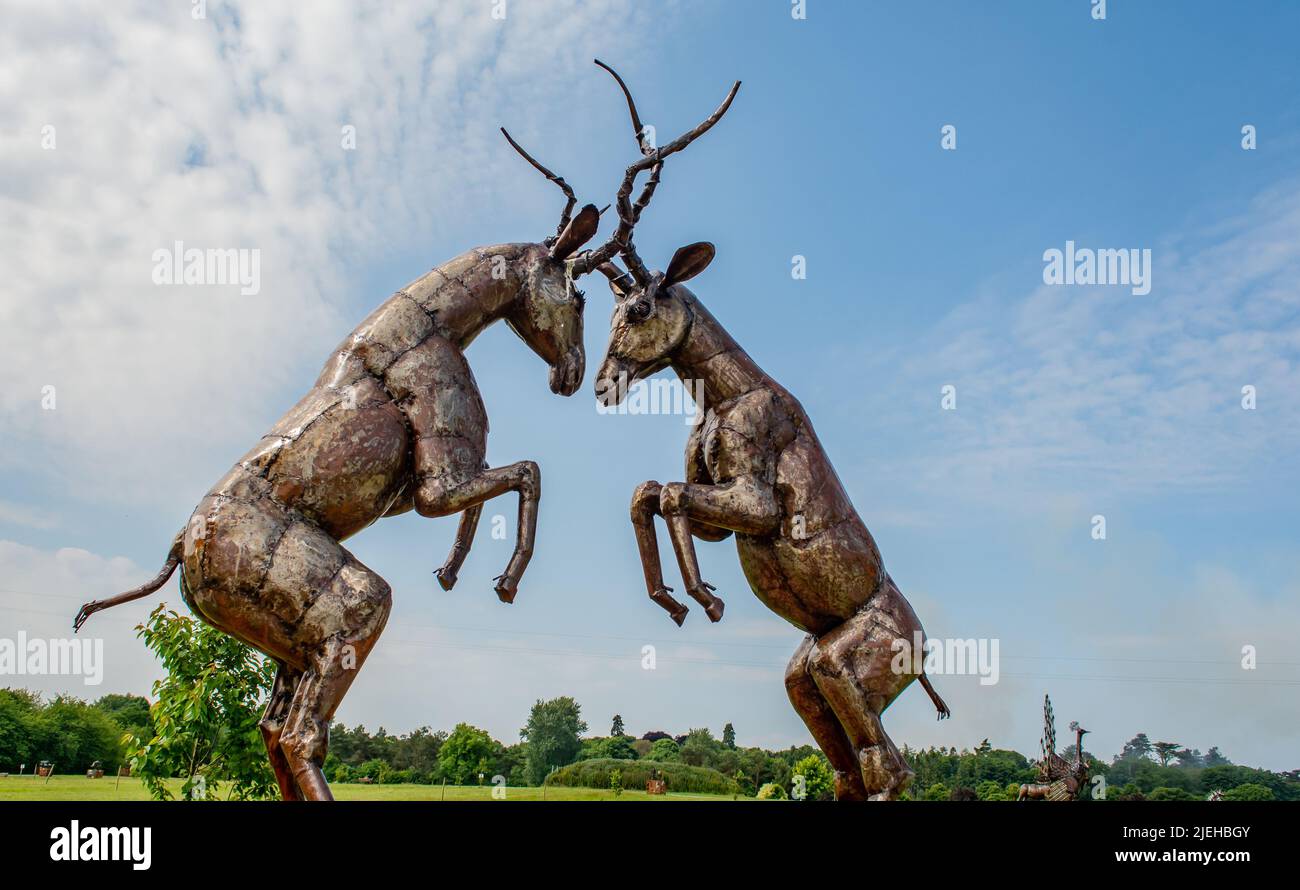 Metal sculptures that are based at the British Iron Works in Oswestry ...