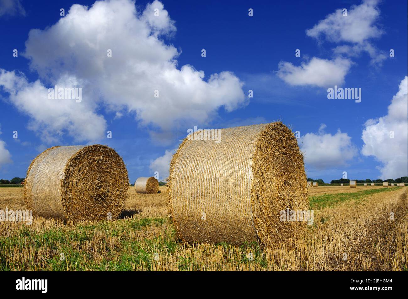 Heuballen hi-res stock photography and images - Alamy