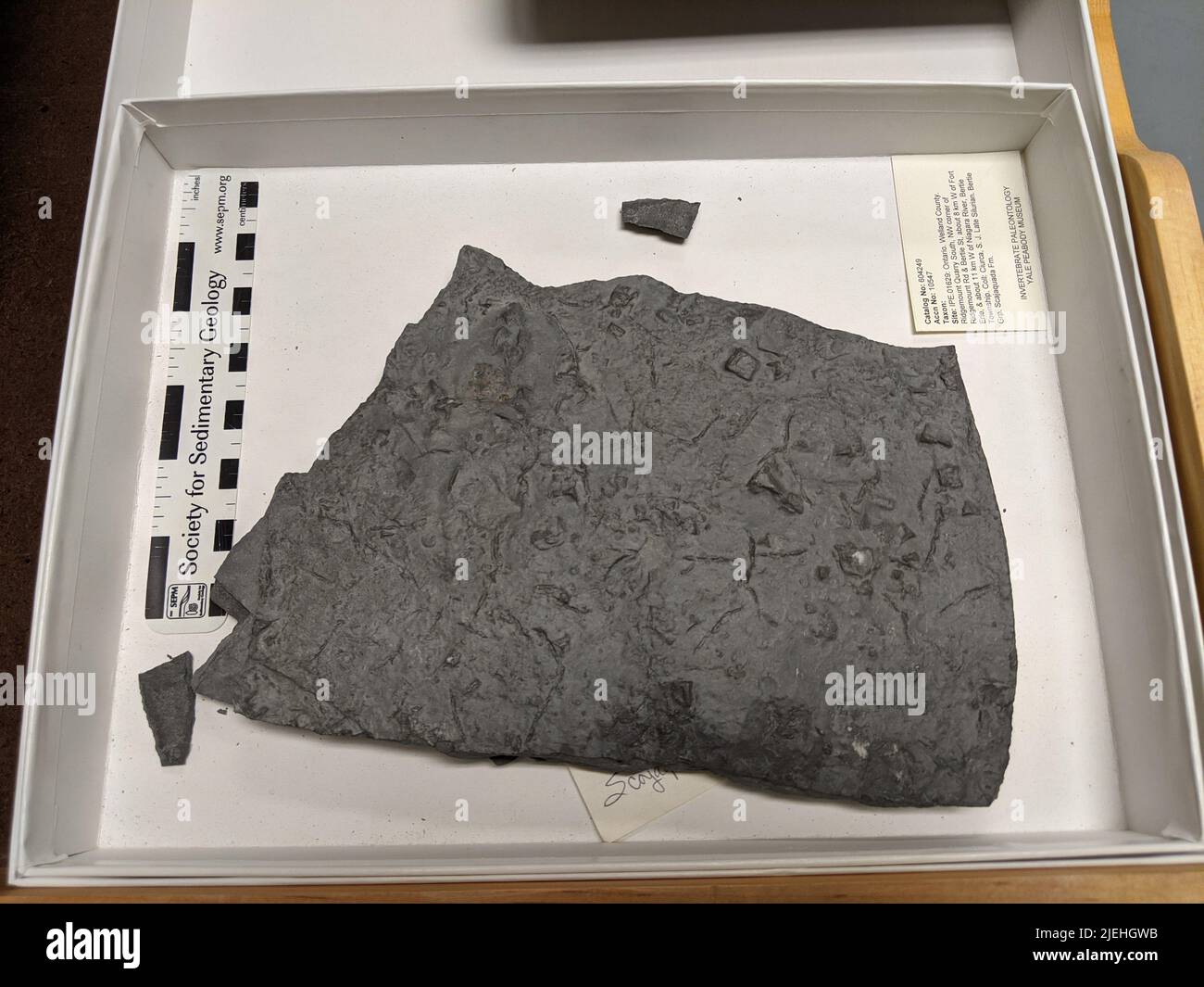 Salt hoppers hi-res stock photography and images - Alamy