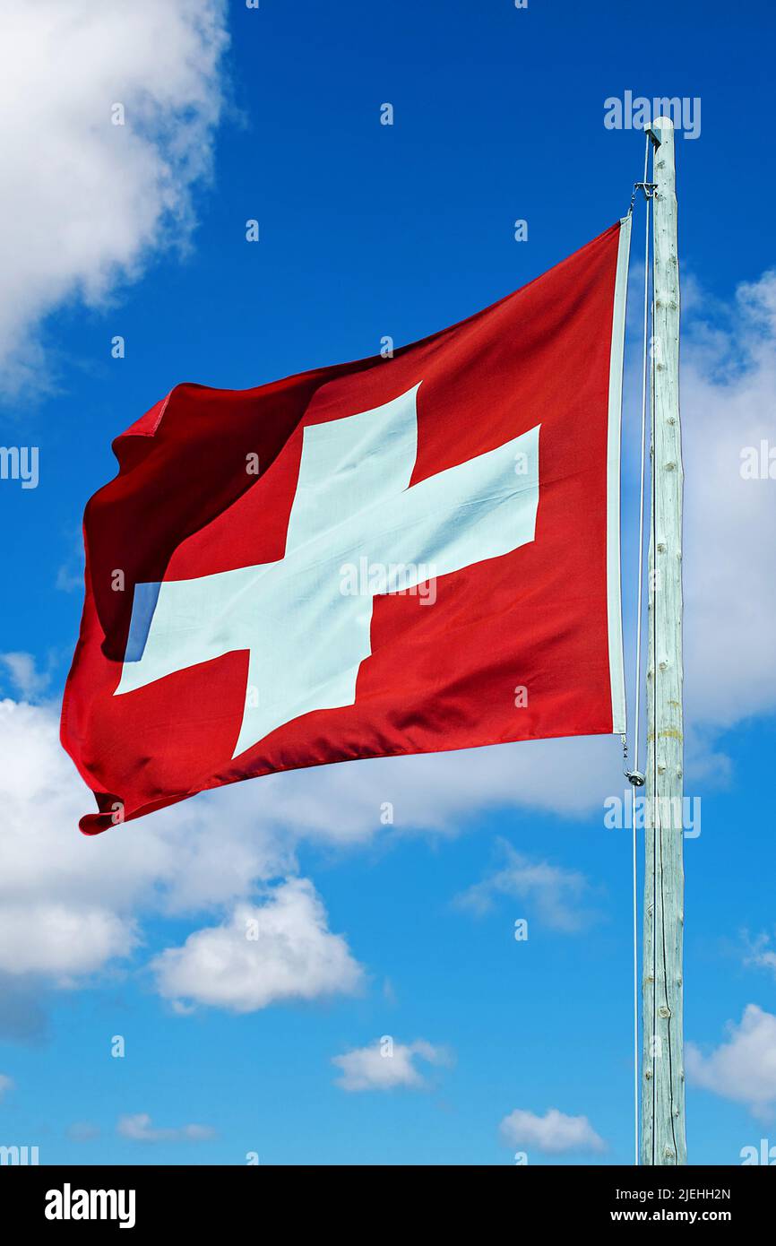 Wehende Schweizer Nationalfahne vor blauen Himmel, Cumuluswolken Stock ...