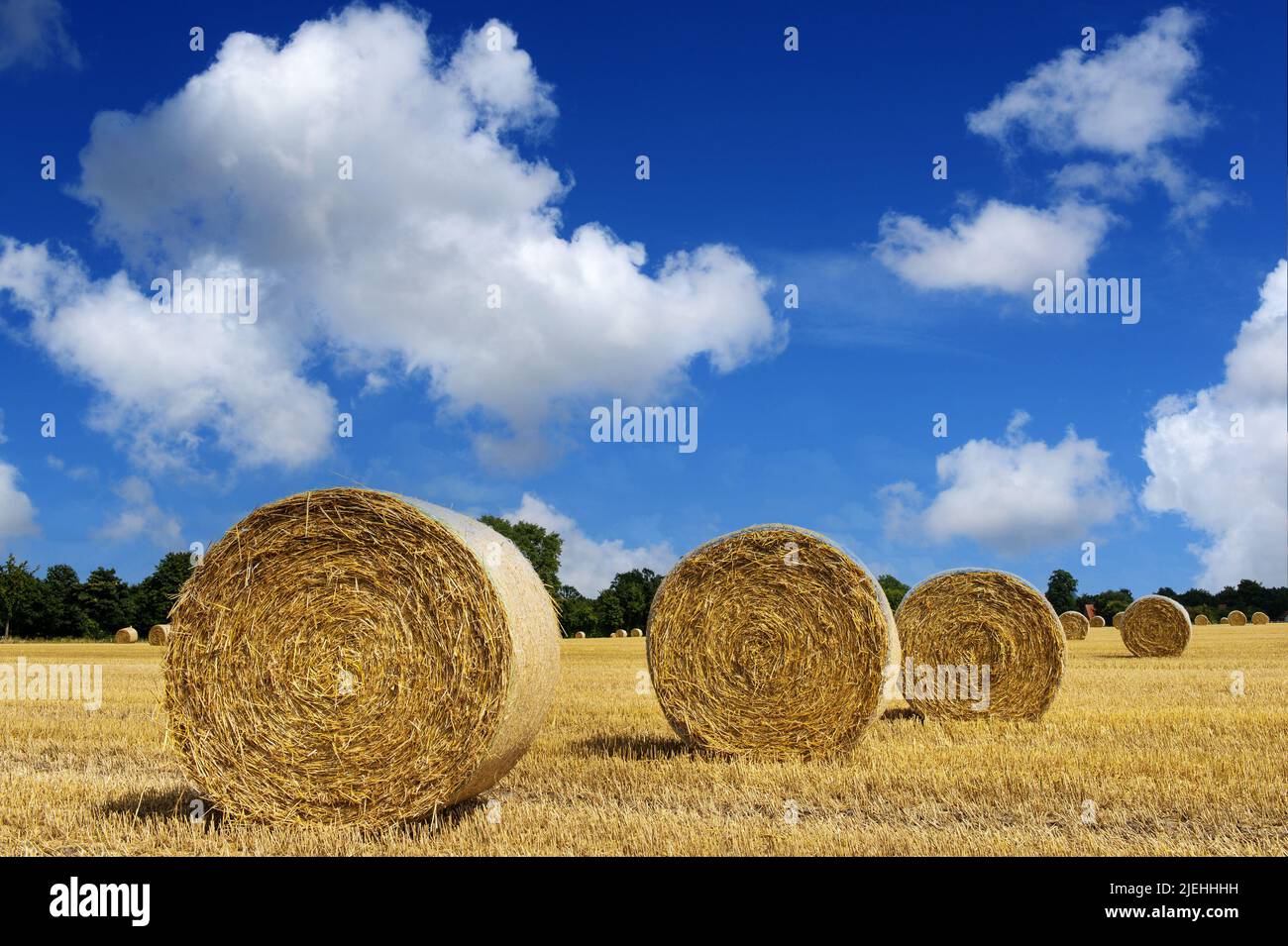 Heuernte; Rundballen vor Wolkenhimmel, Strohballen, Heuballen ...
