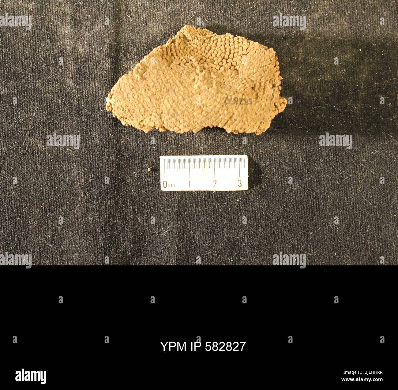 Recepta hi-res stock photography and images - Alamy