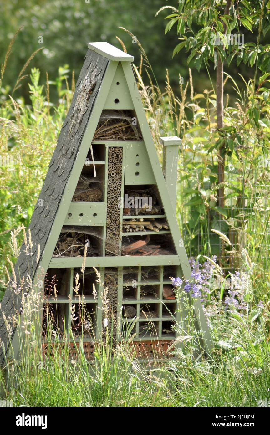 Triangular wooden bug hotel Stock Photo - Alamy