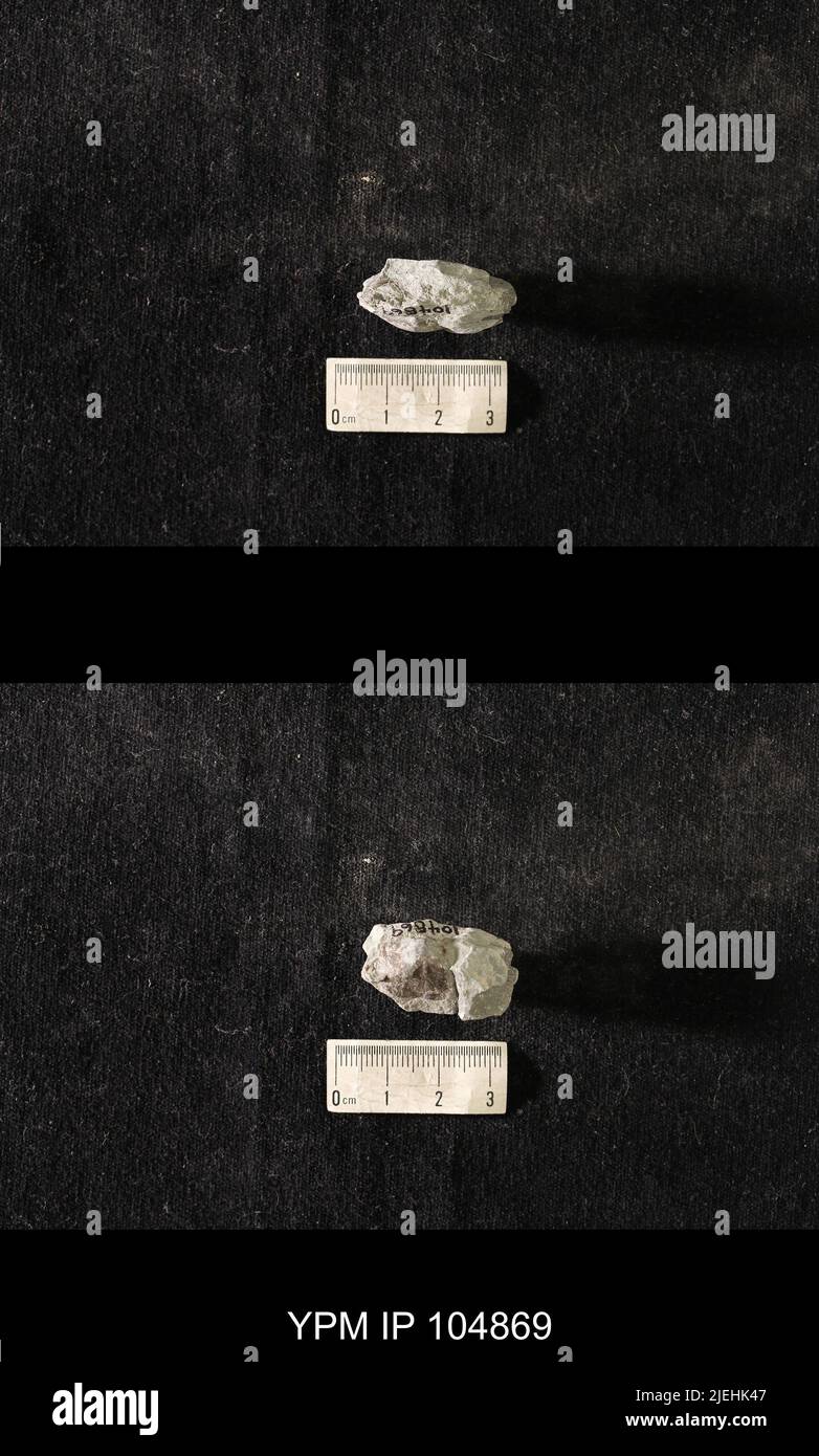 Plectambonites sericeus animalia hi-res stock photography and images ...