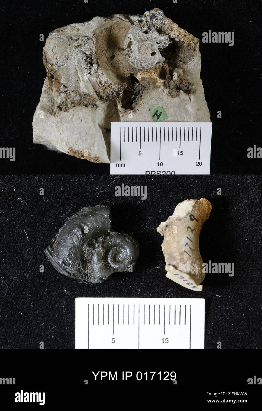 Cullison hi-res stock photography and images - Alamy