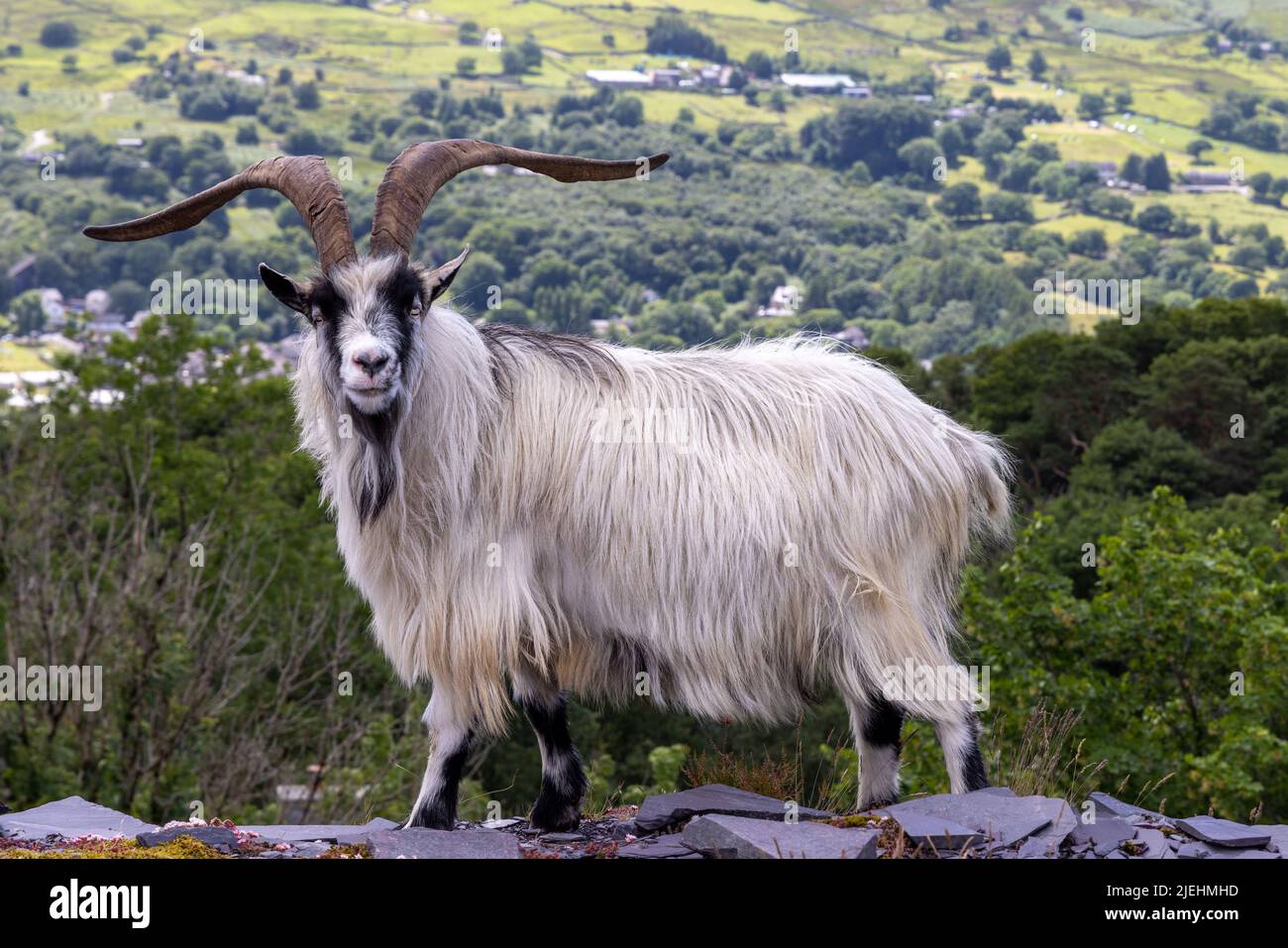 Chwarel dinorwig hi-res stock photography and images - Alamy