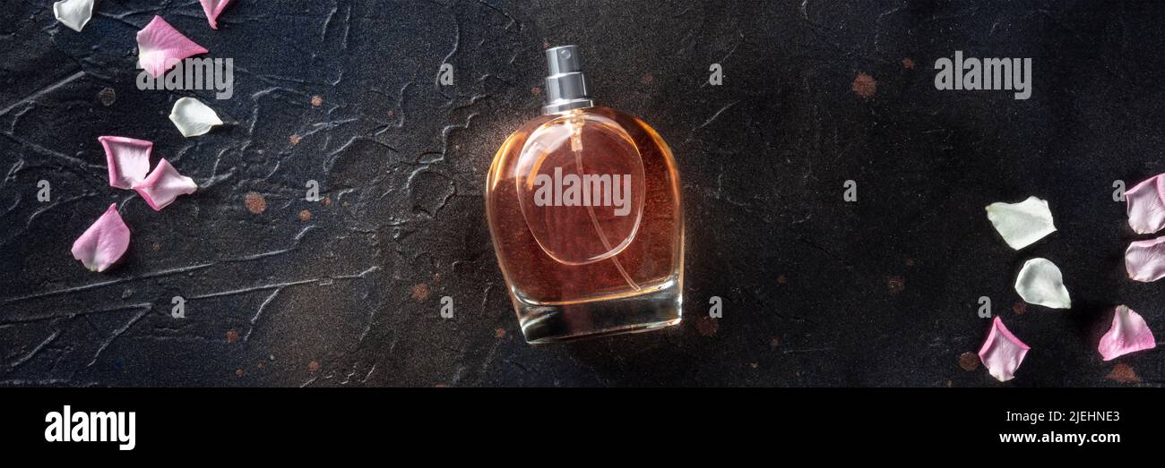 Rose fragrance panorama with fresh flower petals, top shot on a black ...