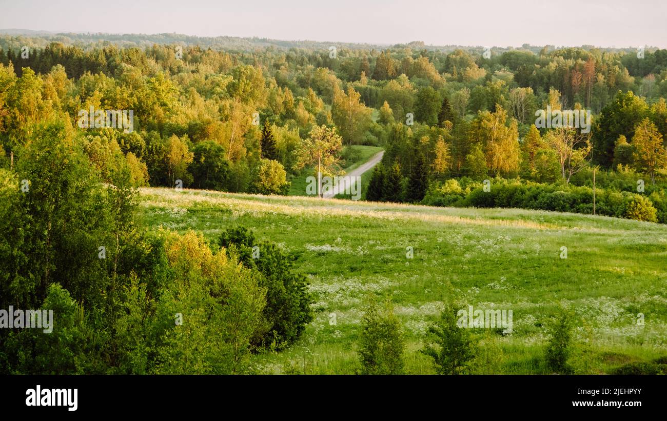 Latvian Landscape