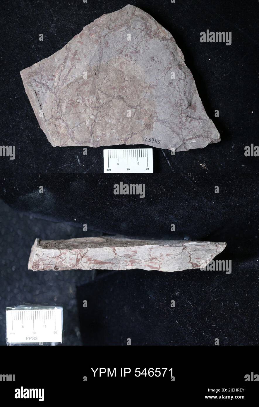 Lithologic hi-res stock photography and images - Alamy